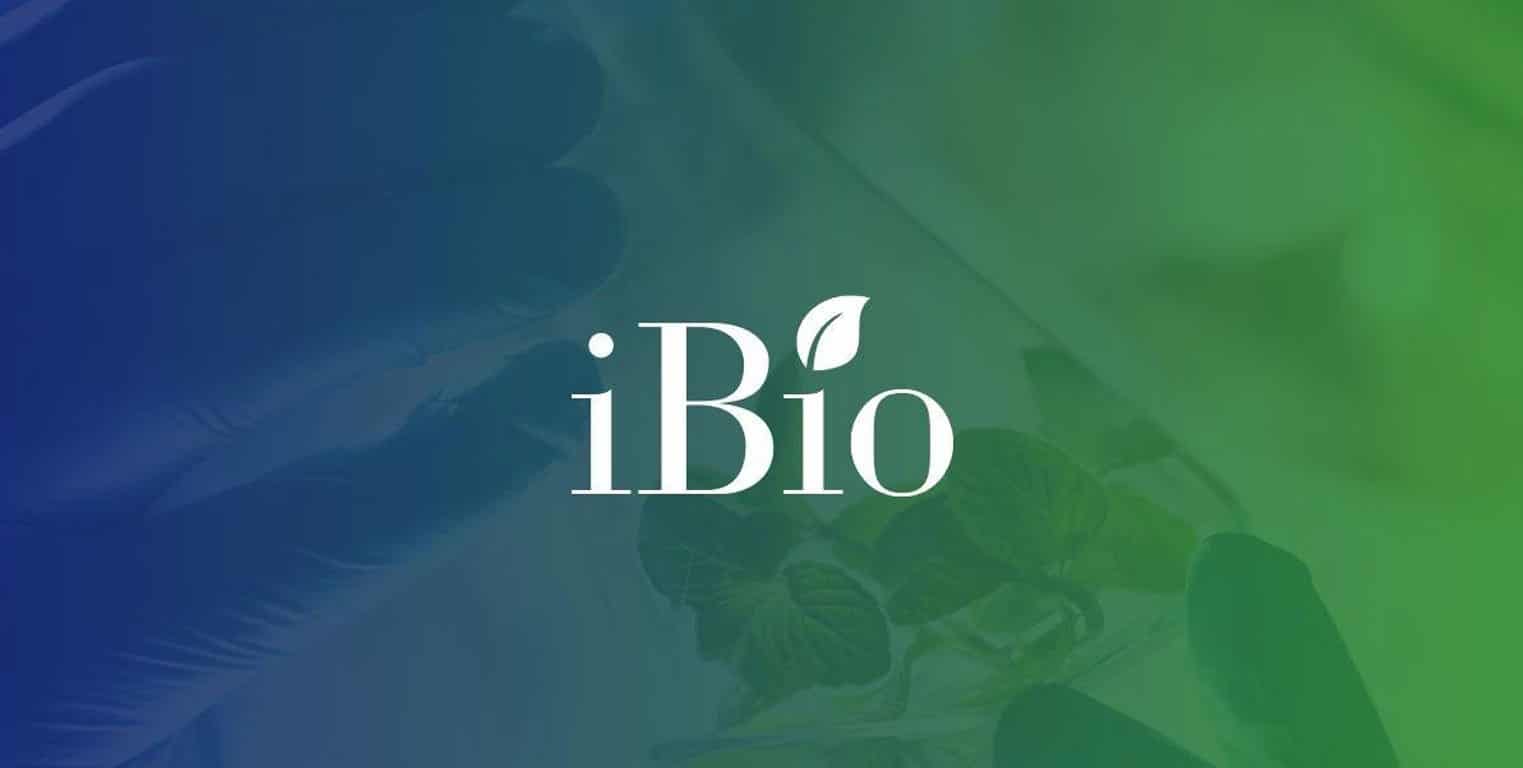 Ibio Inc Shares Surge 11.2% on Safi Biosolutions Deal | AskTraders.com