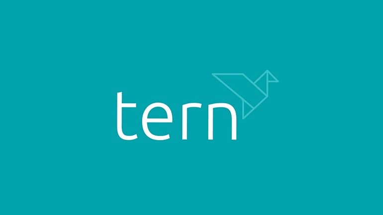 Tern PLC Shares Are Up 17.14% TYD, Is the IoT Firm a Great Investment?