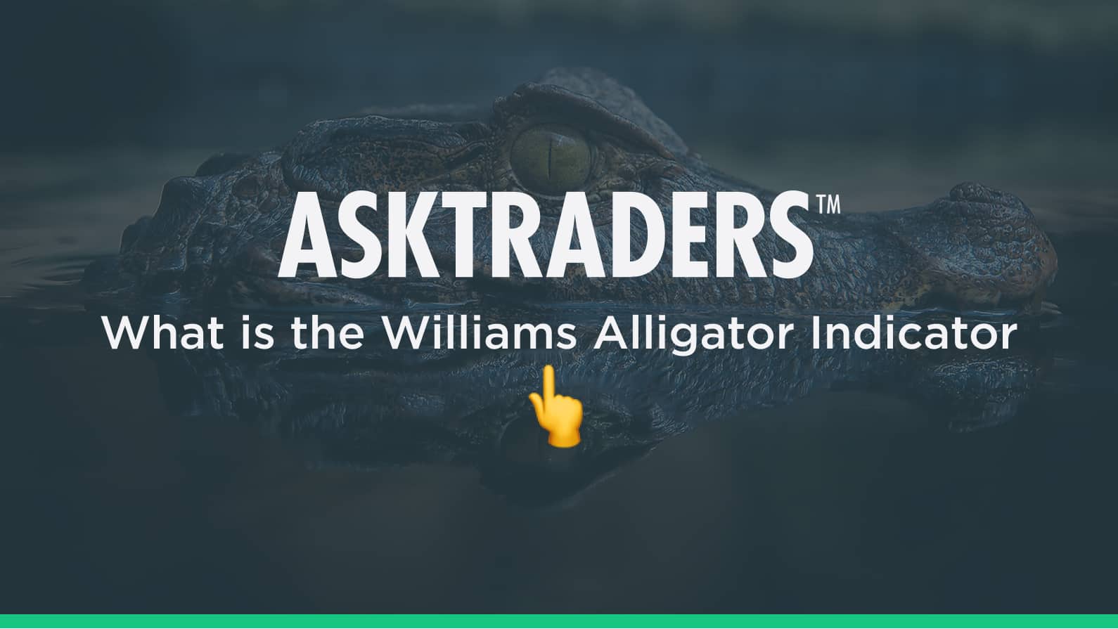 Williams Alligator Indicator 2025 | AskTraders.com
