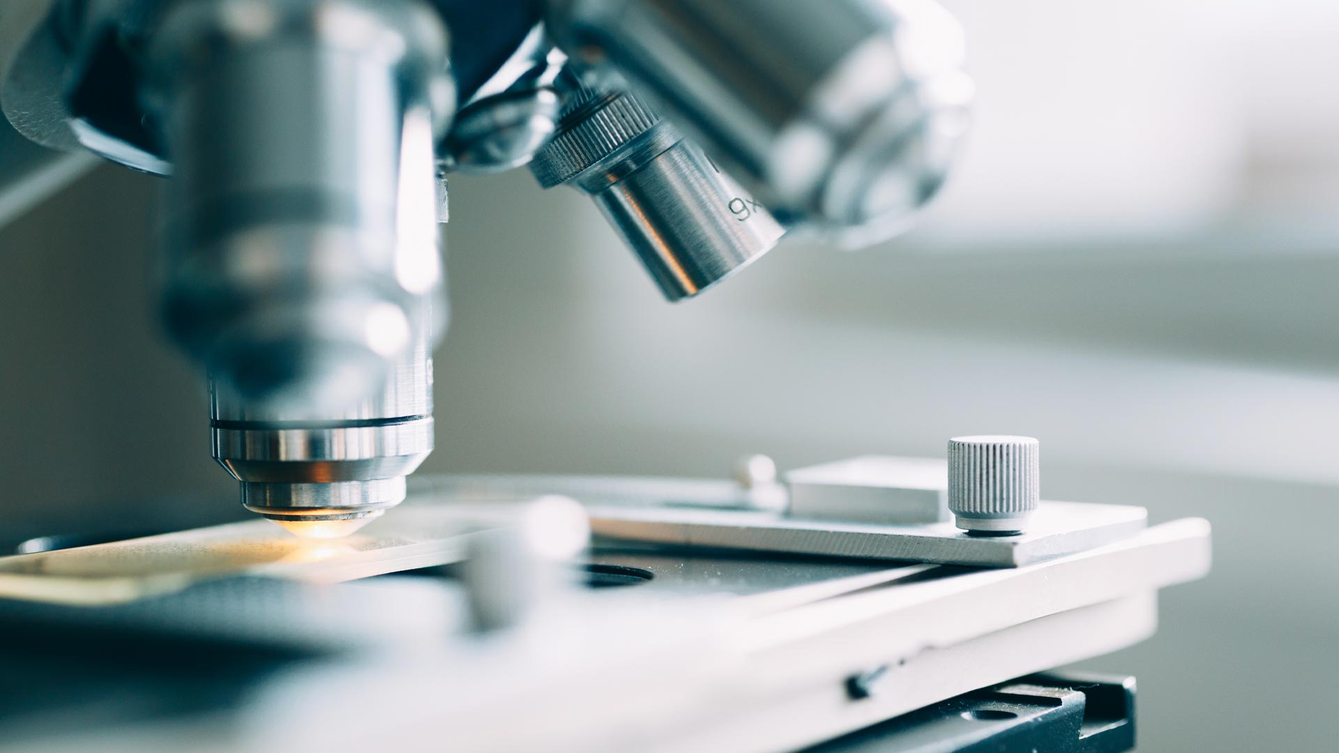 ABVC BioPharma (ABVC) Stock Price Rallied 411.8% Premarket