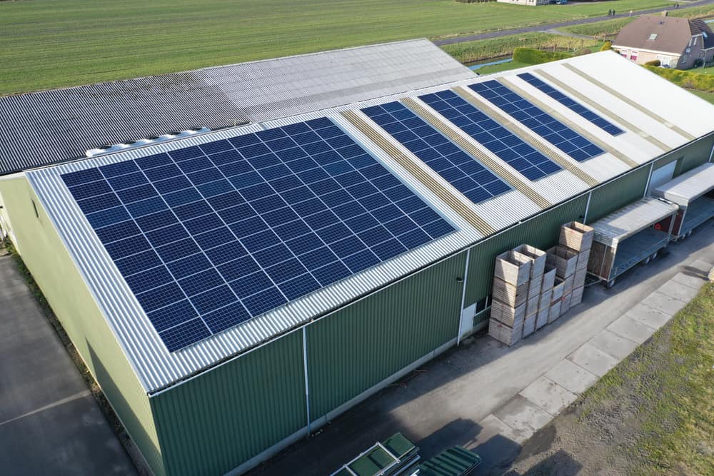 5 Best Green Energy Companies in Kenya
